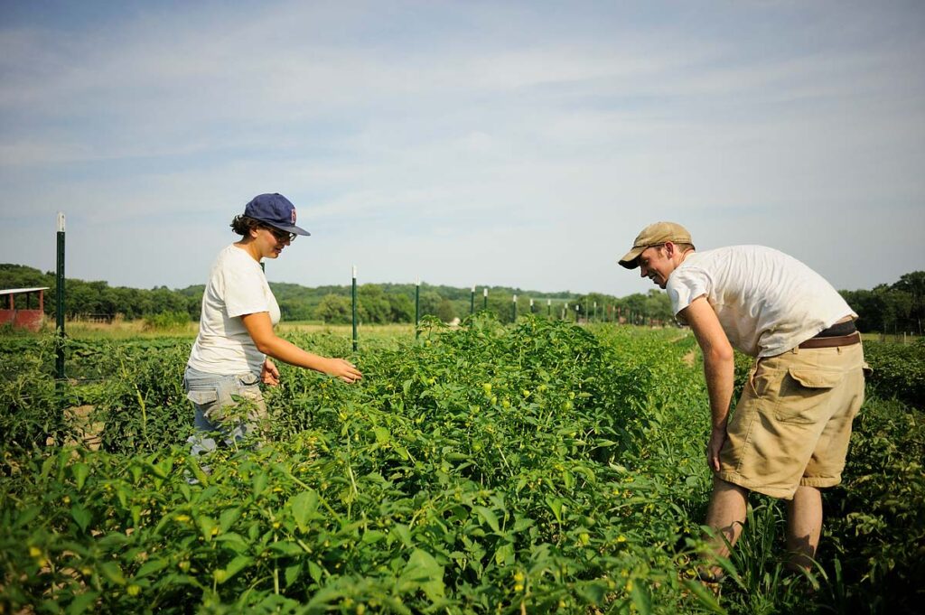 Landon Jefferies - Farmer, Root Mass Farm